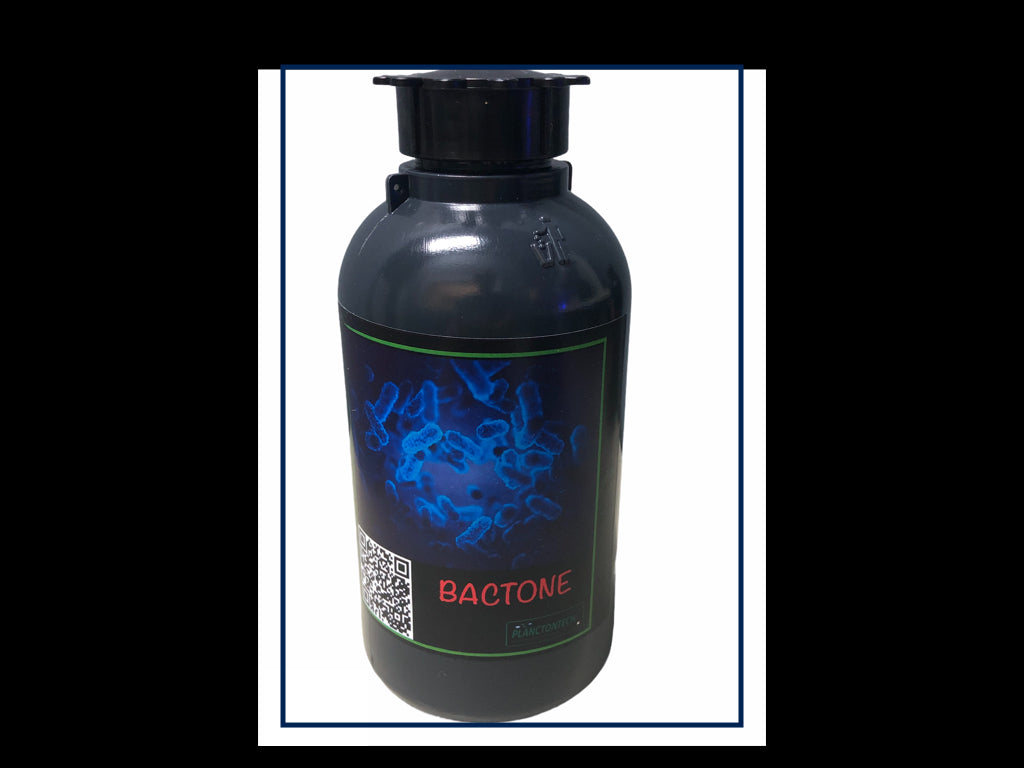PLANCTONTECH BACTONE 250ml - Batteri aerobi e anaerobi – Natura Amica